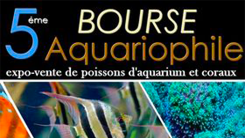 Bourse aquariophile: Isle sur la Sorgue