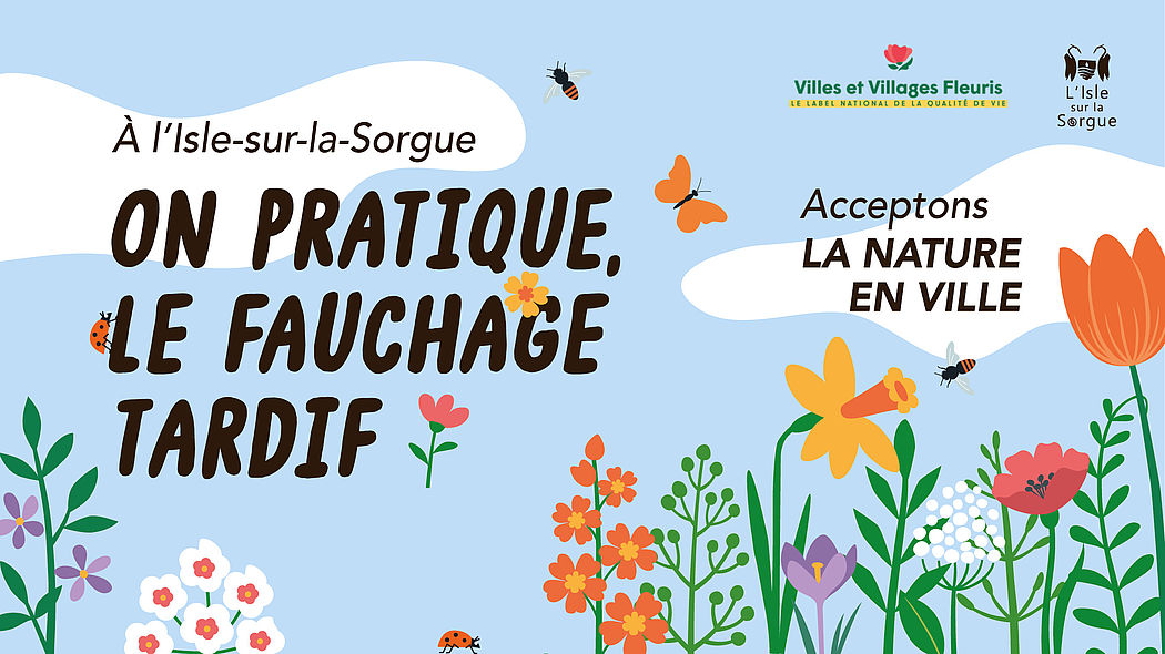 Fauche tardive: Isle sur la Sorgue